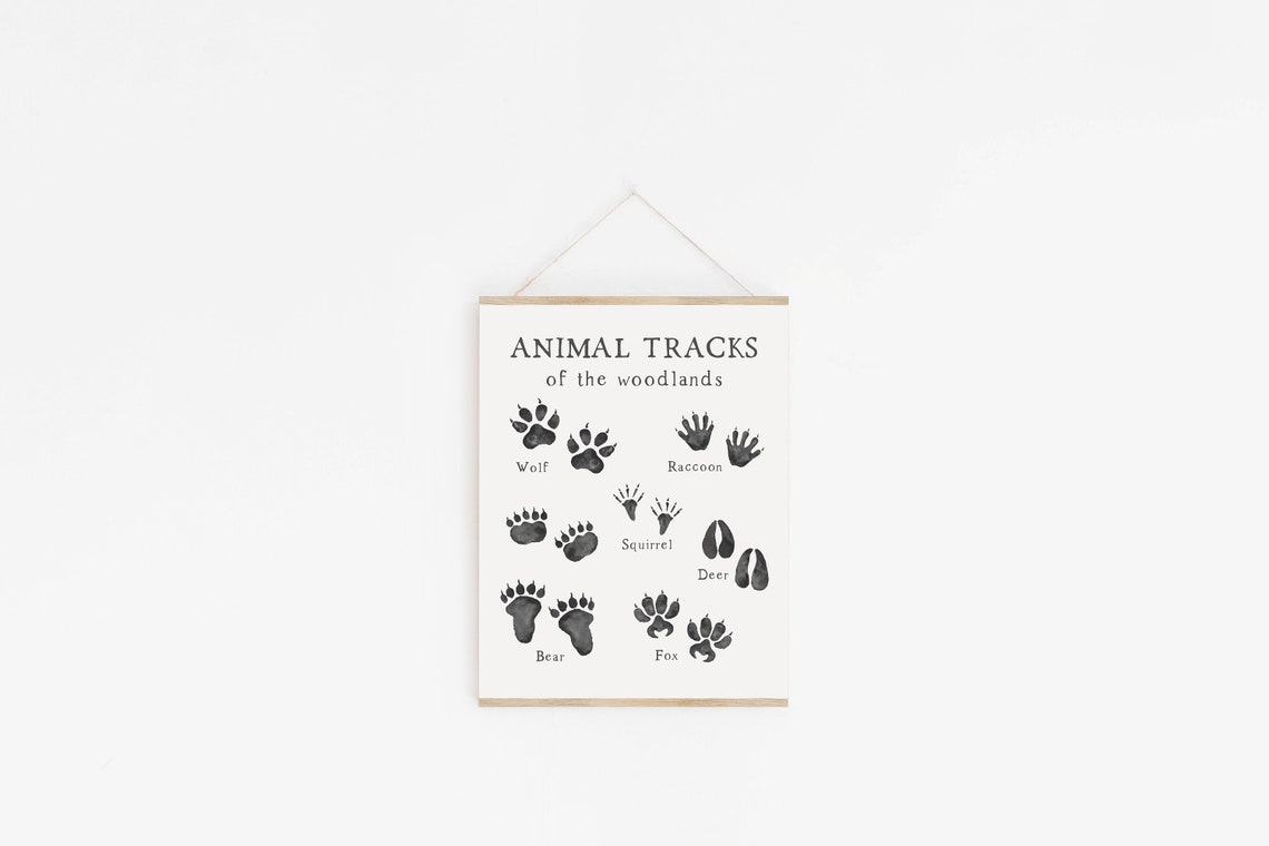 Animal Tracks Printable Woodland Forest Nursery Print | Etsy