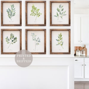 Botanical Greenery Prints Farmhouse Set of 6 Watercolor - Etsy