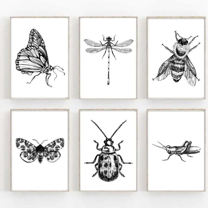 Kid Wall Art Insect - Etsy