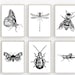 Bugs Prints Bug Printable Art School Room Decor Kids Room - Etsy
