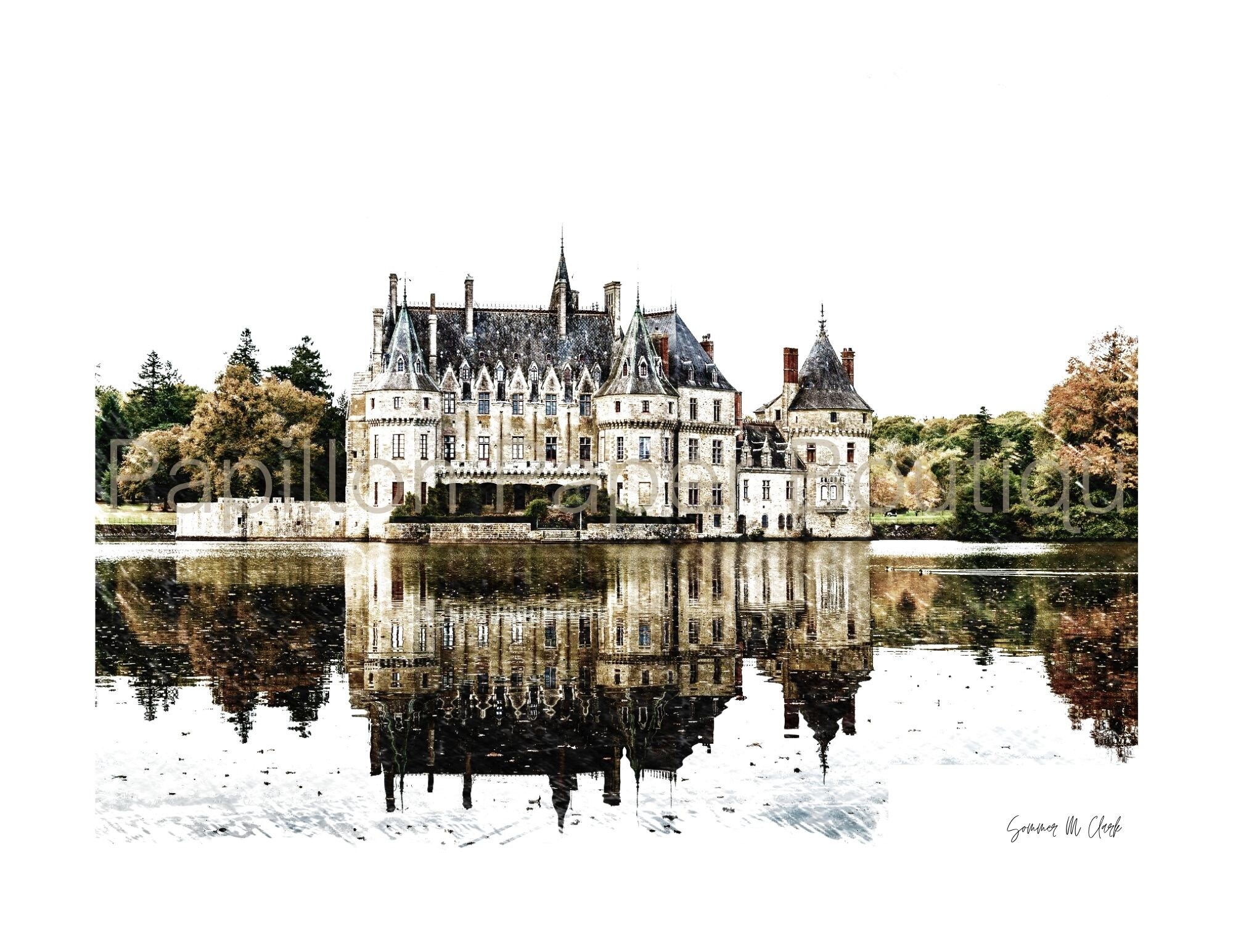 Castle in France Wall Art, French Castle Print, France Print, European ...