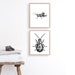 Bugs Prints, Bug Printable Art, School Room Decor, Kids Room Decor ...