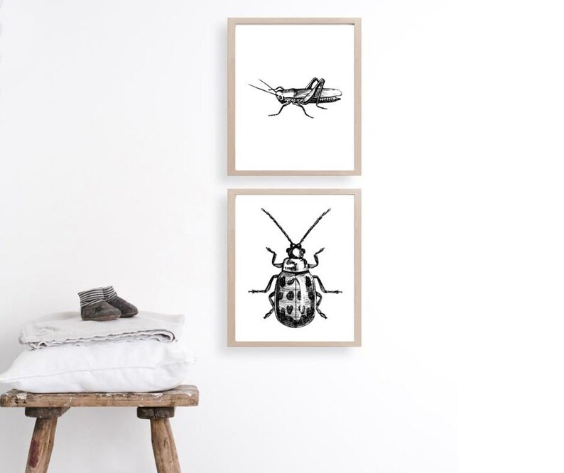 Bugs Prints, Bug Printable Art, School Room Decor, Kids Room Decor ...