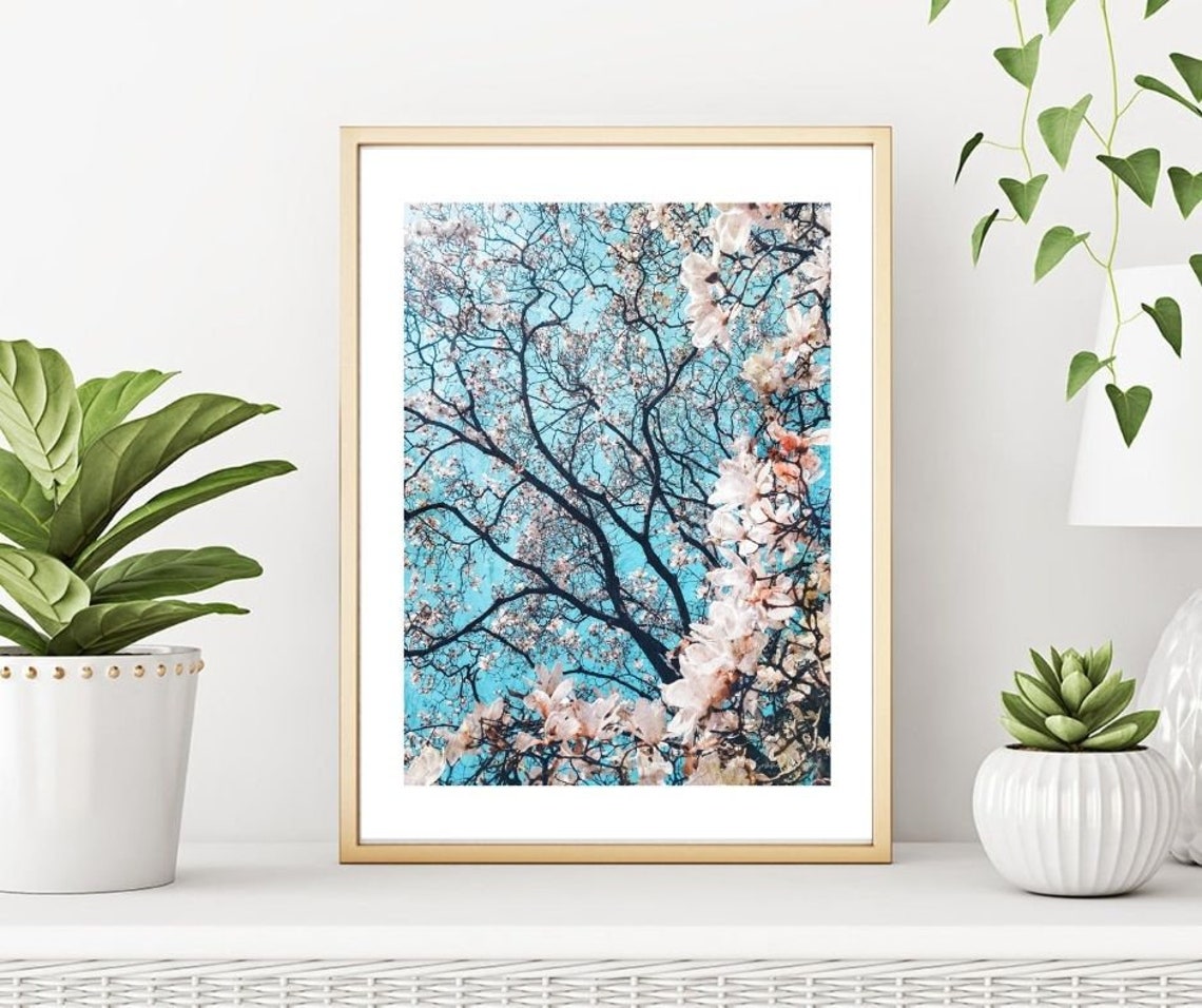 Cherry Blossom Tree Print Nature Print Nature Photography - Etsy
