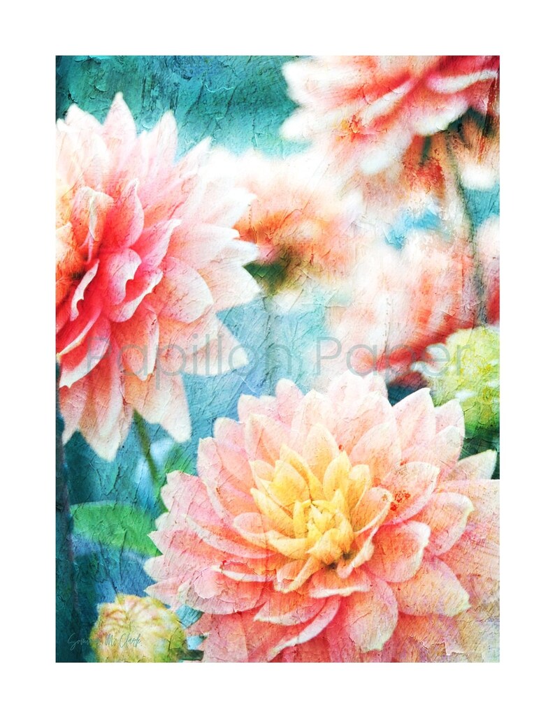 Dahlia Prints, Set of Flowers Wall Art, Dahlia Photograph, Instant ...