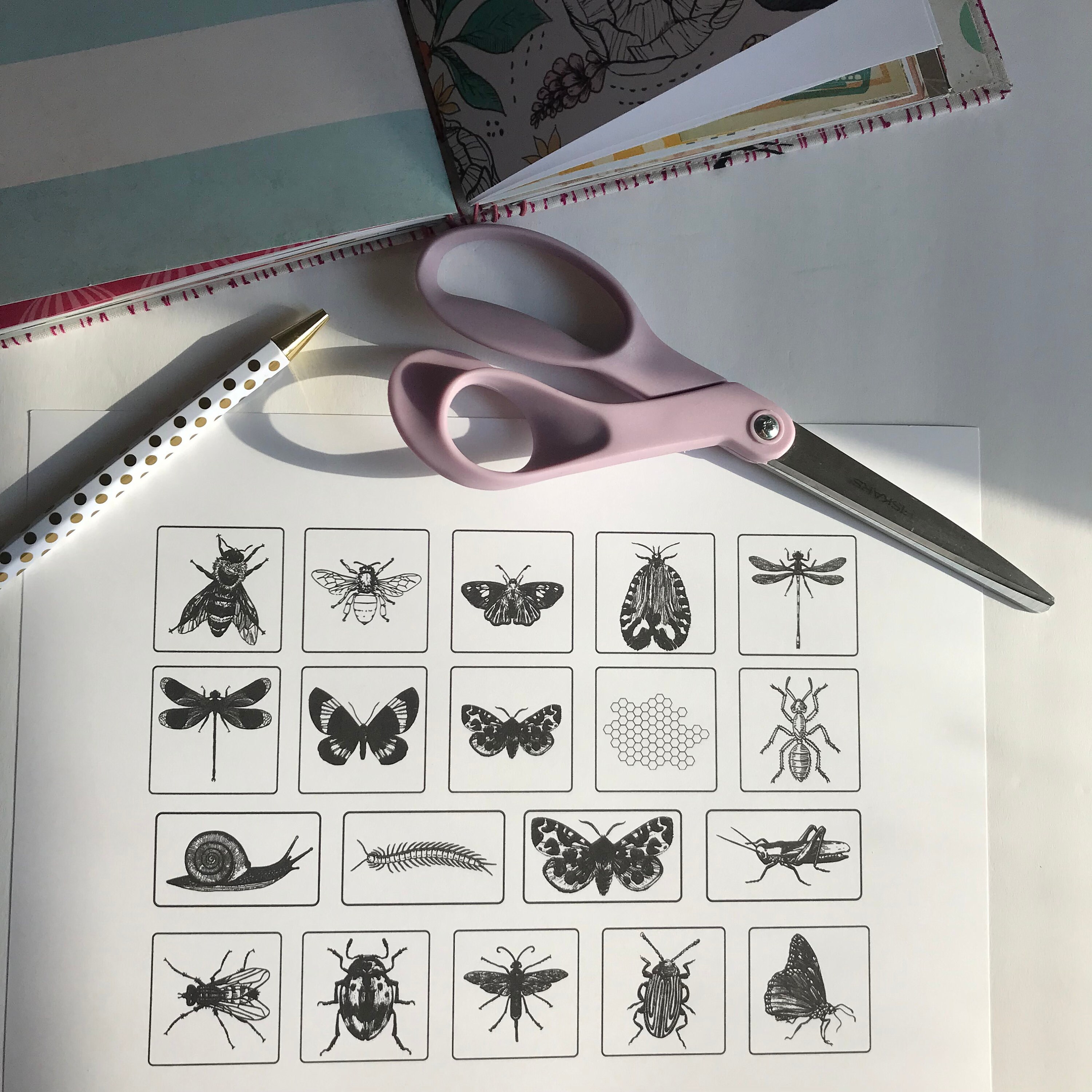 Bug Ephemera, Scrapbooking Ephemera, Ephemera Printable, Printable ...