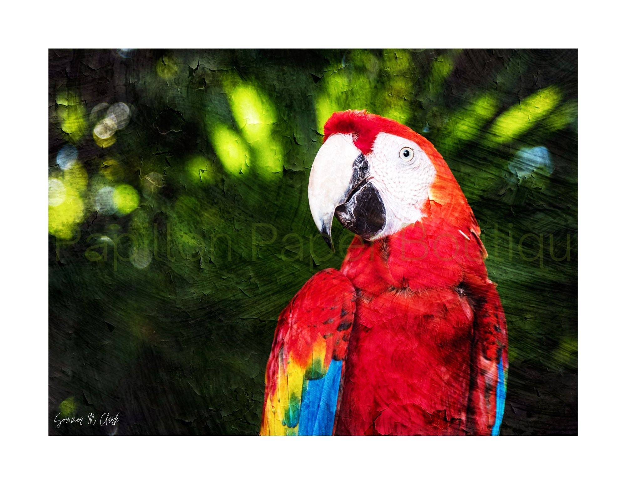 Parrot Print Set, Bird Prints, Parrot Poster Australian Animal Wall Art ...