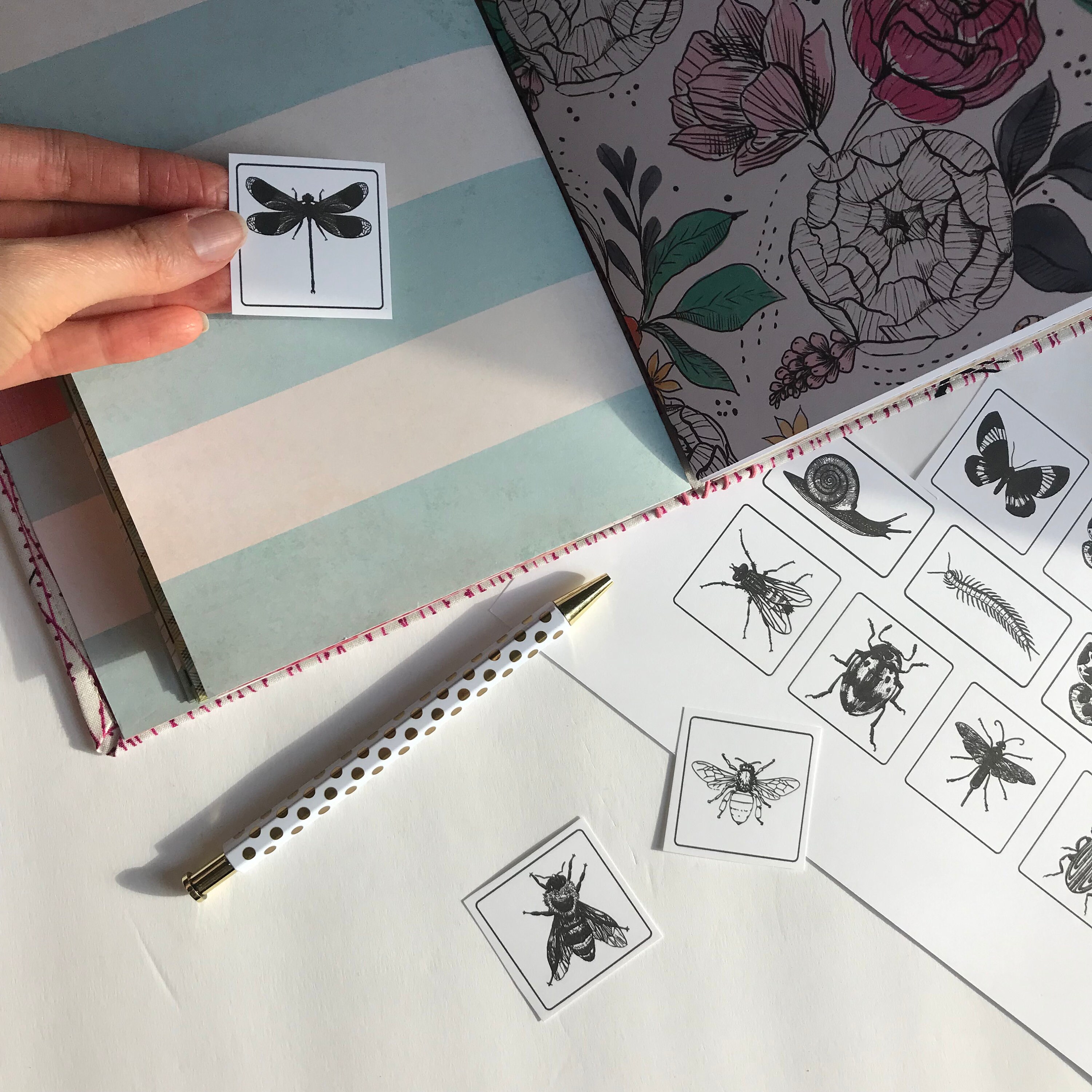 Bug Ephemera, Scrapbooking Ephemera, Ephemera Printable, Printable ...