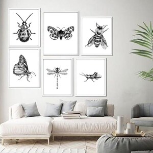Bugs Prints, Bug Printable Art, School Room Decor, Kids Room Decor ...