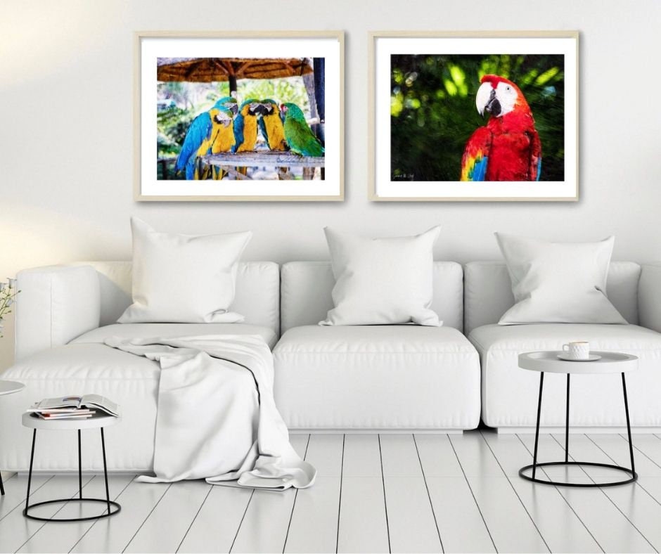 Parrot Print Set, Bird Prints, Parrot Poster Australian Animal Wall Art ...