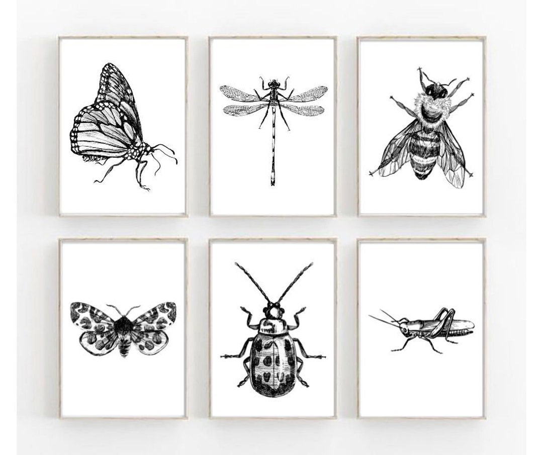 Bugs Prints, Bug Printable Art, School Room Decor, Kids Room Decor ...