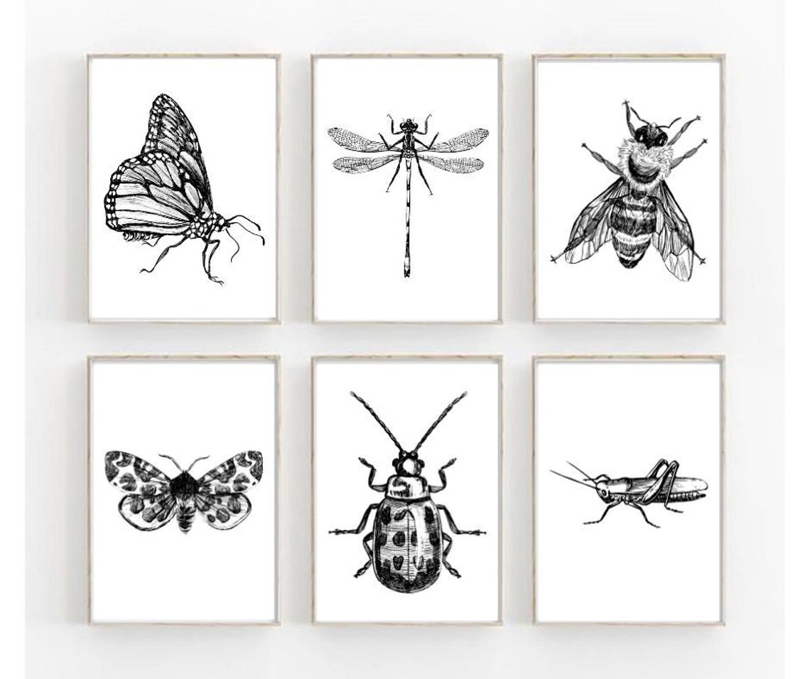 Bugs Prints, Bug Printable Art, School Room Decor, Kids Room Decor ...