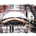 Chicago Bean Photo, Chicago Street Print, Chicago Wall Art, Chicago ...