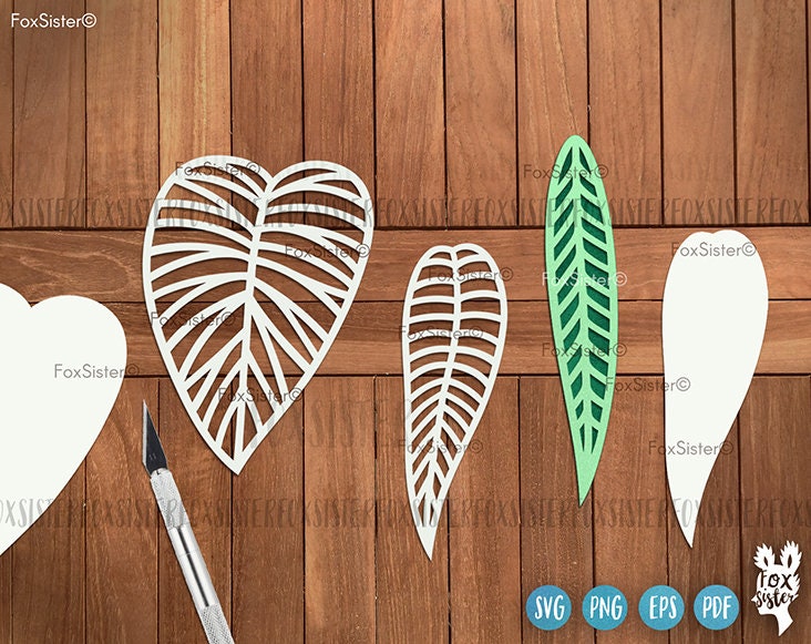 Leaf Svg Bundle SET 8 Leaf Svg Cut File Designs Leaves - Etsy UK