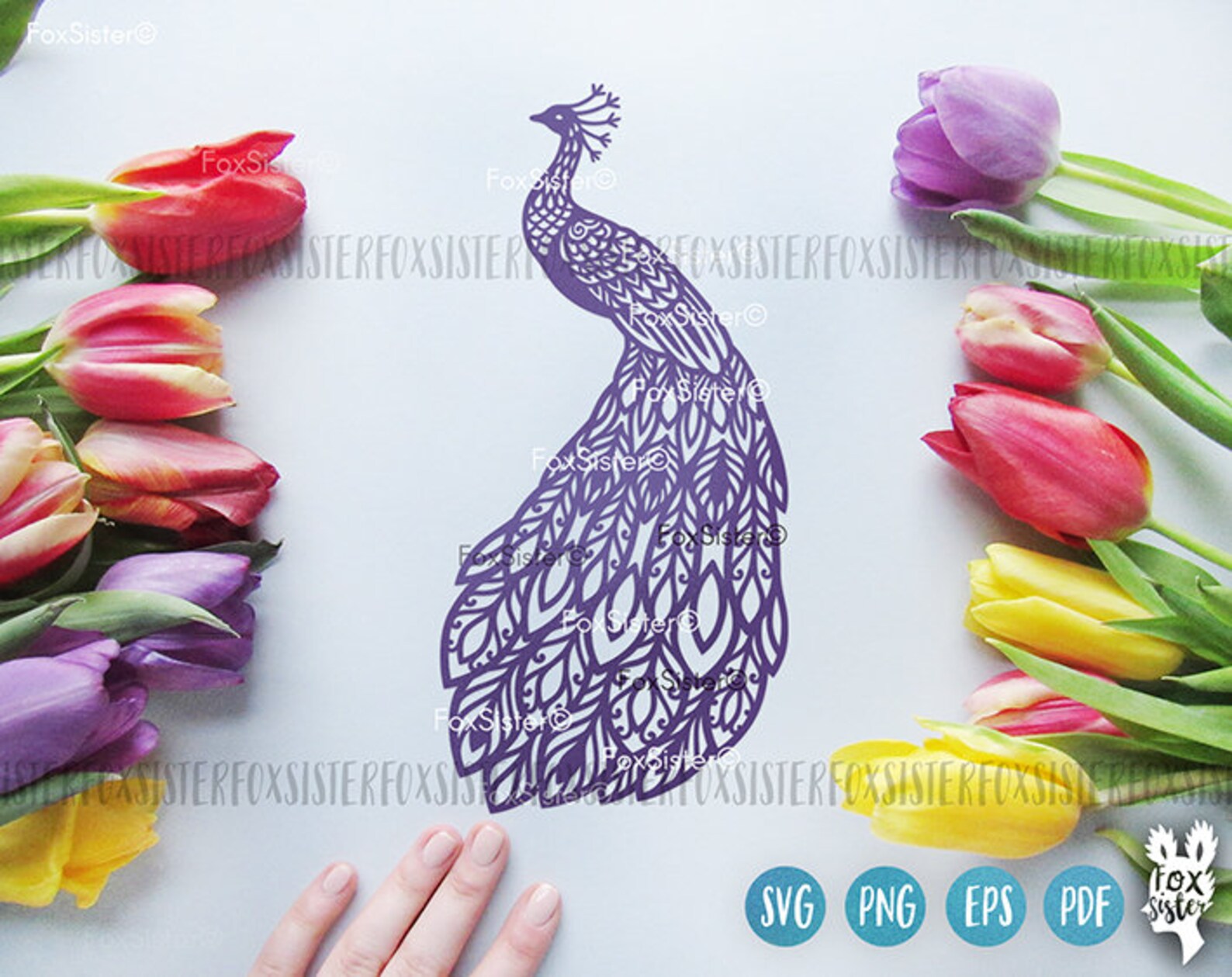Peacock Svg Vector Detailed Cutting File Design, Peacock Clipart ...
