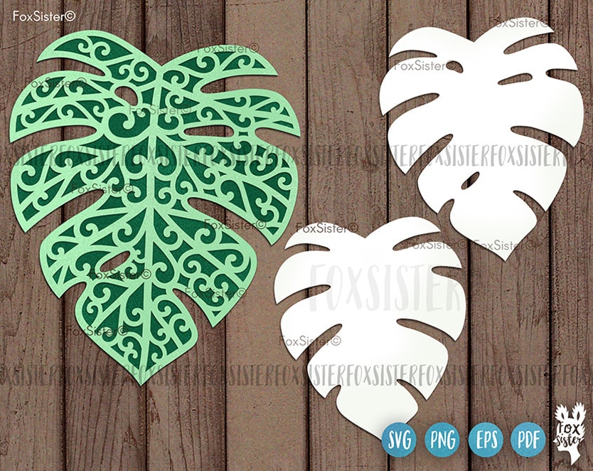 Hojas svg set 9 hoja svg archivo 3 diseños de hojas hojas - Etsy México