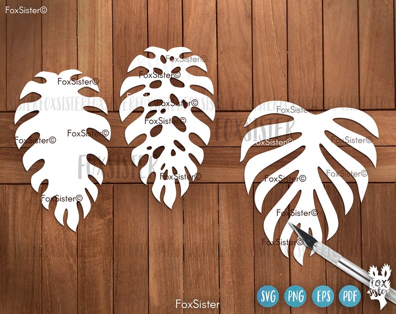 Monstera Leaf Svg Bundle for Cricut and Silhouette Leaf Svg - Etsy