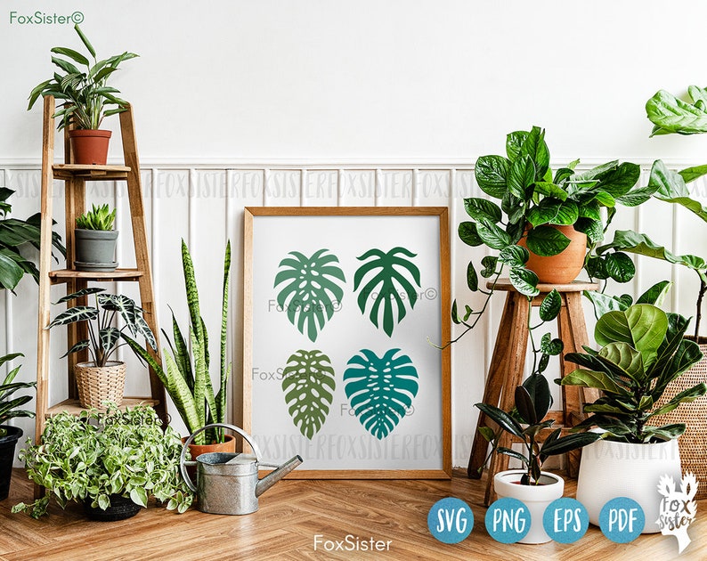 Monstera Leaf Svg Bundle for Cricut and Silhouette Leaf Svg - Etsy