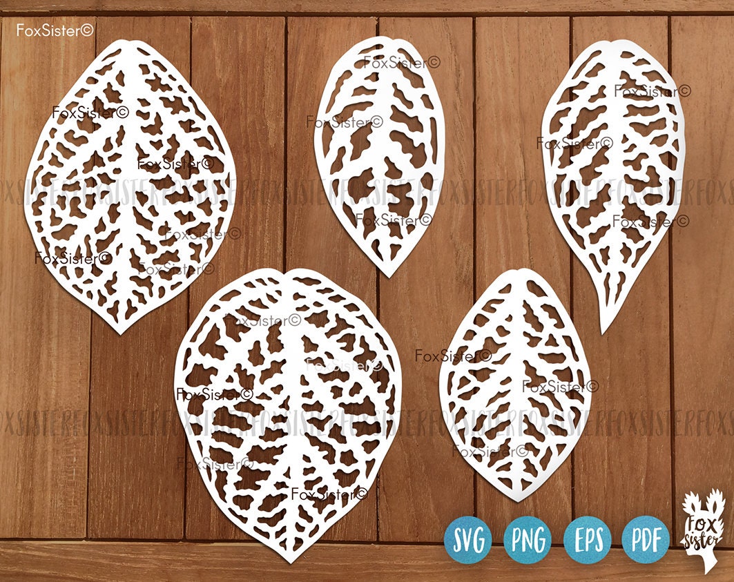 Leaves Svg Bundle Leaf Svg Leaves Cutting Svg Wreath - Etsy