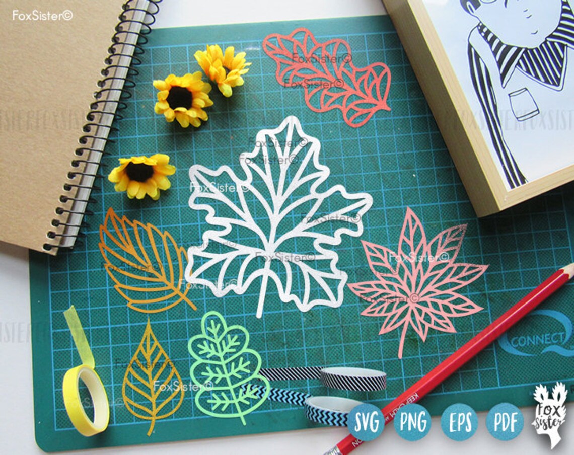 Leaf Svg SET 3 Leaves Svg 8 Leaf Designs Leaves Cutting | Etsy
