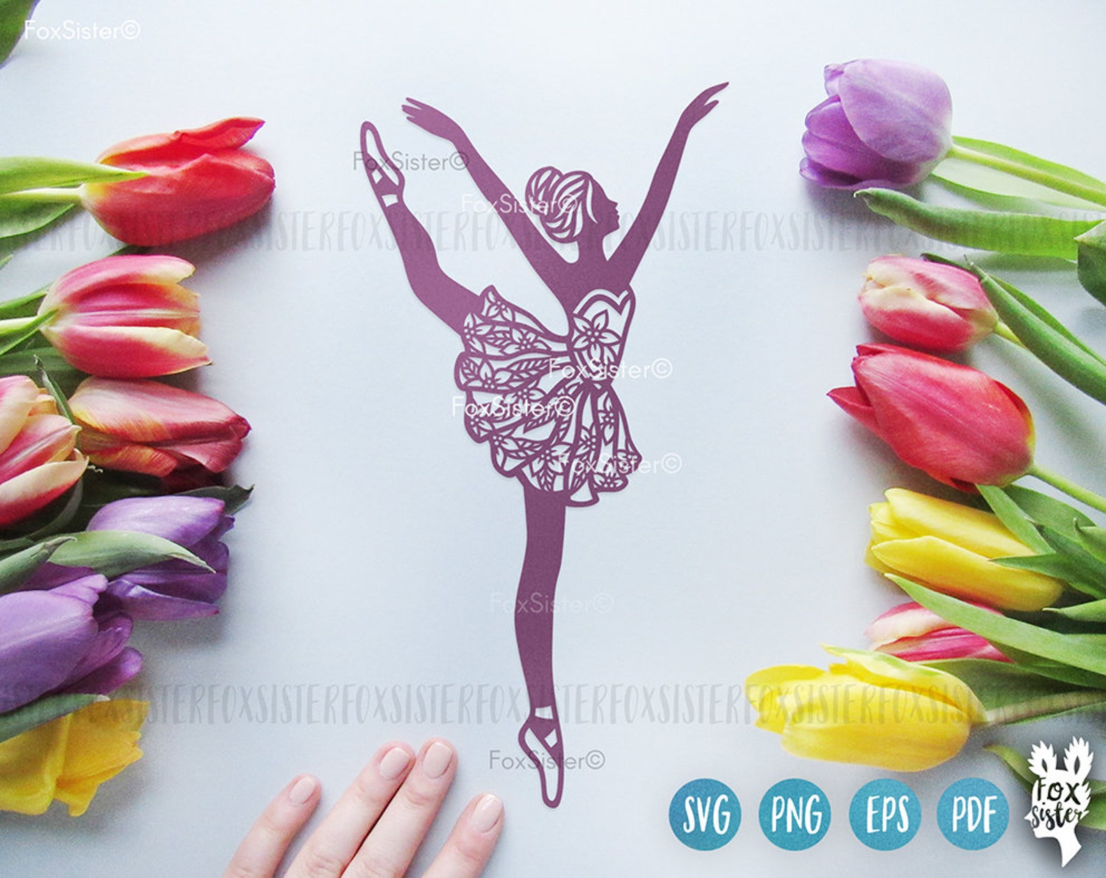 Ballerina Svg Designs for Cricut and Silhouette Ballet Svg | Etsy