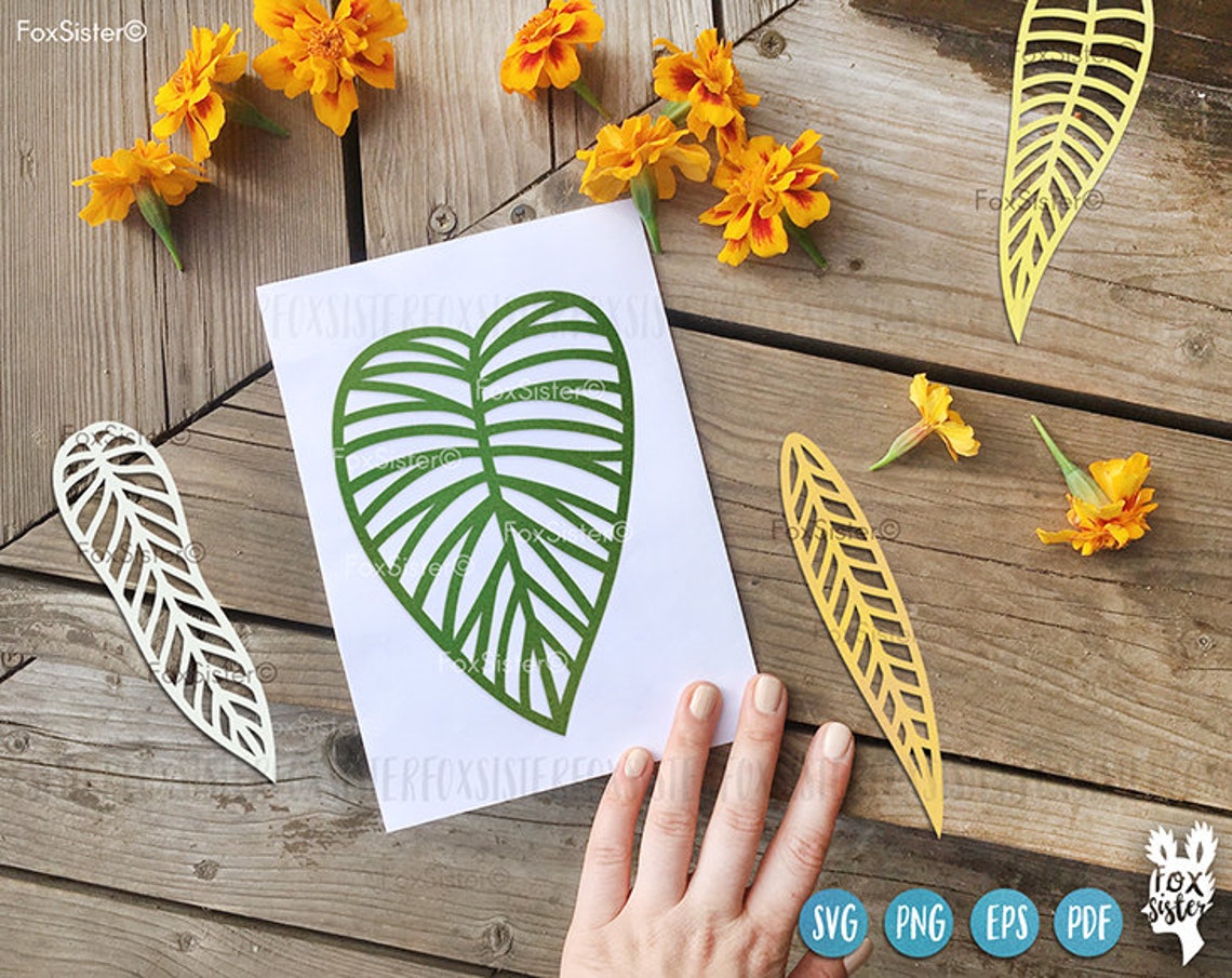 Leaf Svg Bundle SET 8 Leaf Svg Cut File Designs Leaves - Etsy UK