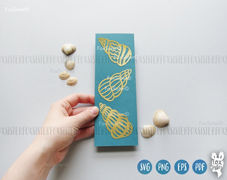 Shells Svg Bundle Shell Svg Shell Clipart Seashell Cut - Etsy UK