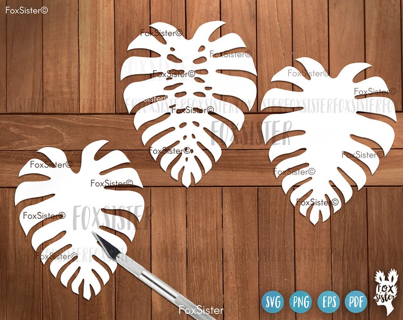 Monstera Leaf Svg Bundle for Cricut and Silhouette Leaf Svg - Etsy