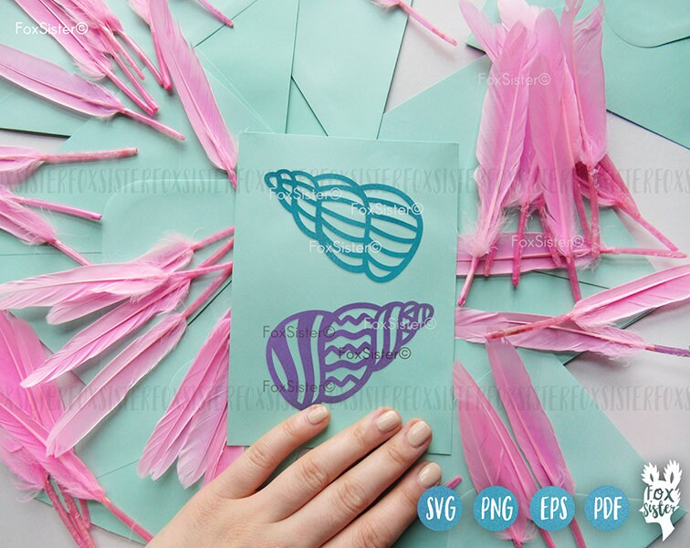 Shells Svg Bundle Shell Svg Shell Clipart Seashell Cut - Etsy UK