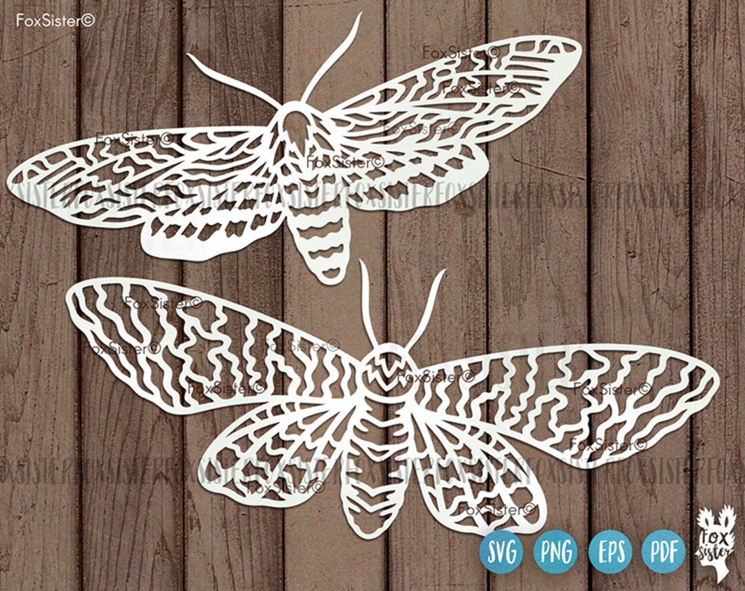 Moth Svg for Cricut and Silhouette, Moth Clip Art, Butterfly Svg ...
