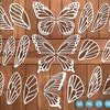 Fae Wings - Etsy