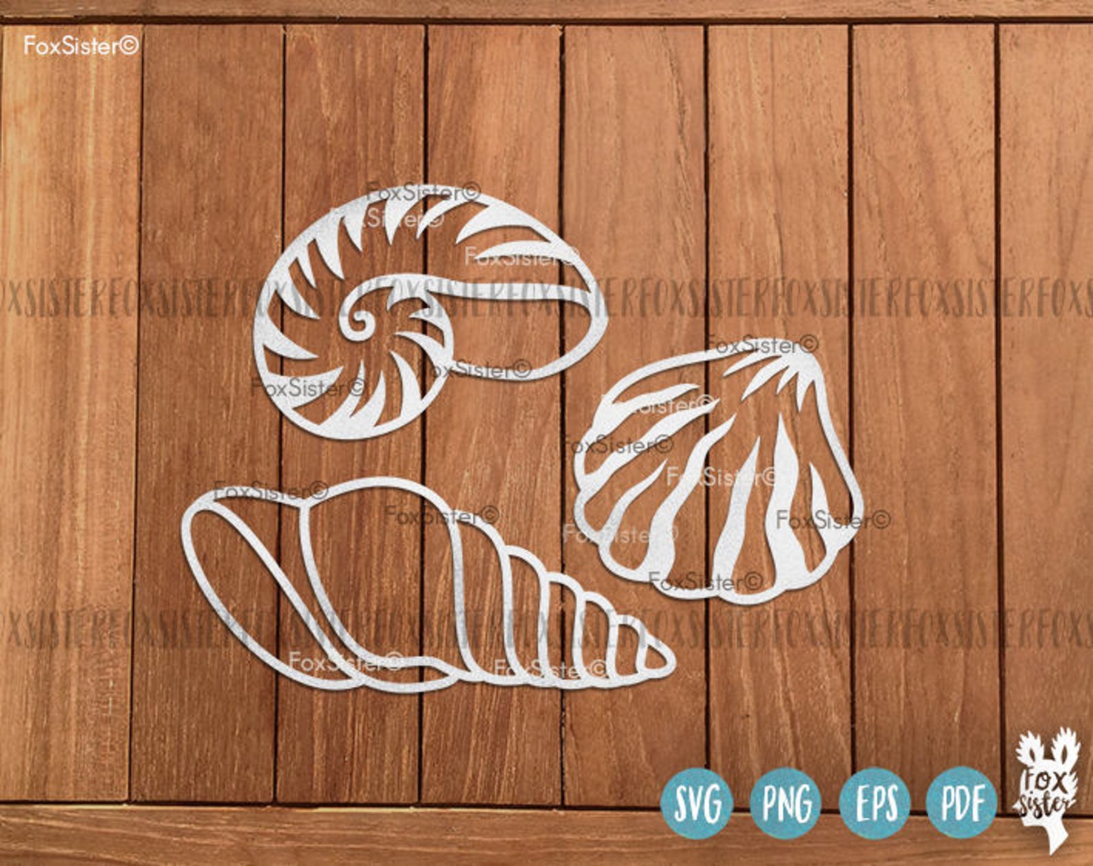 Sea Shells SVG Bundle 35 Seashells svg Beach svg Ocean Cut | Etsy