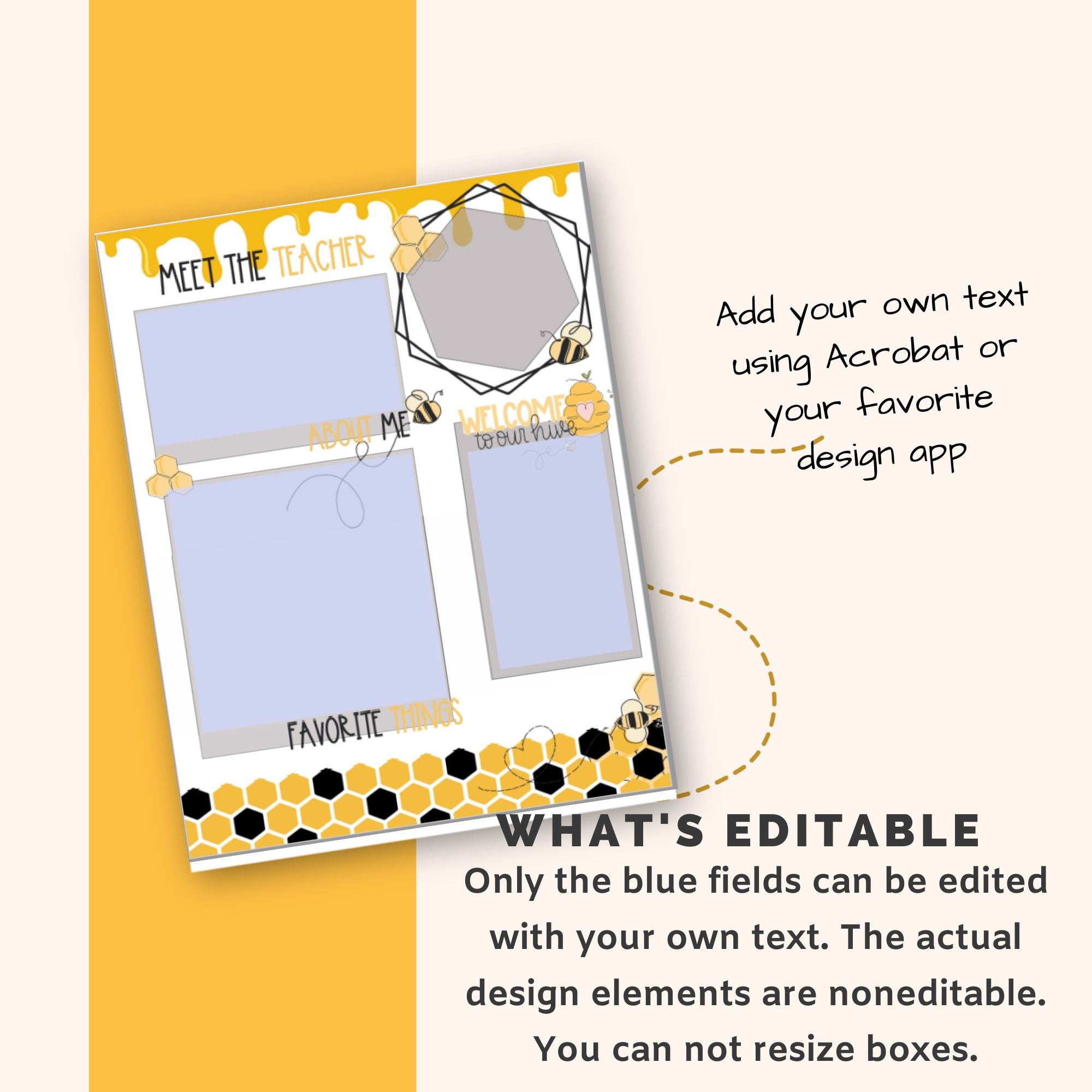 Meet the Teacher Newsletter, Honey Bee Themed Editable Template for ...