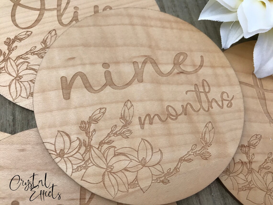 Baby Monthly Milestone Wood Cutouts Baby Shower Gift Monthly Photo Prop ...