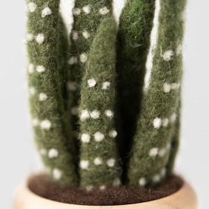 Succulents Needle Felting Tutorial - PDF Pattern - Instant Download ...