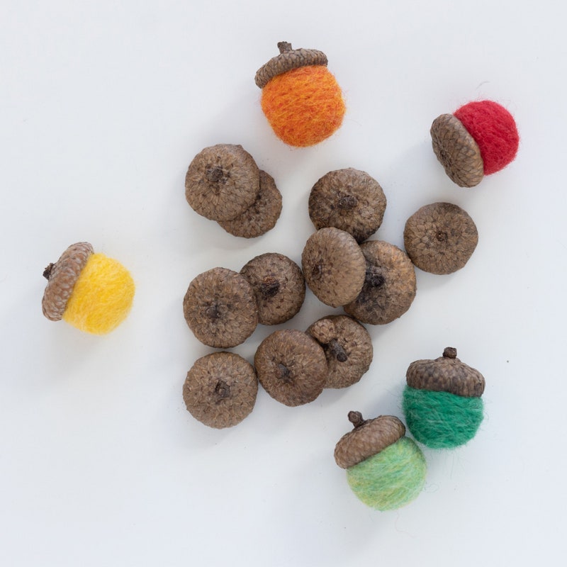 Wool Felted Acorns - Etsy
