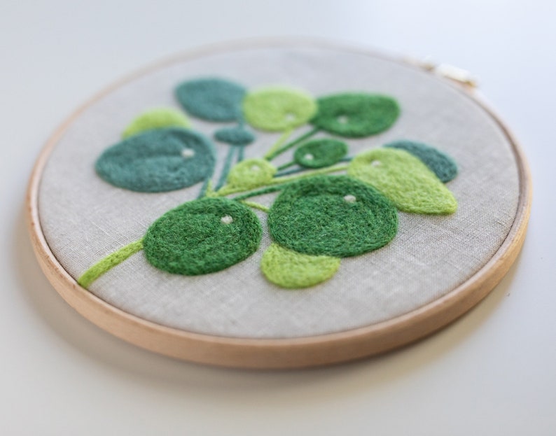 Money Plant Needle Felting Kit Beginner Friendly Coloring - Etsy