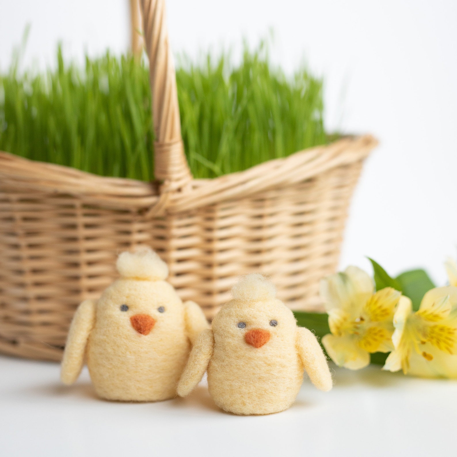 Chick Friends Mini Needle Felting Kit - Easter or Spring DIY Craft Gift ...
