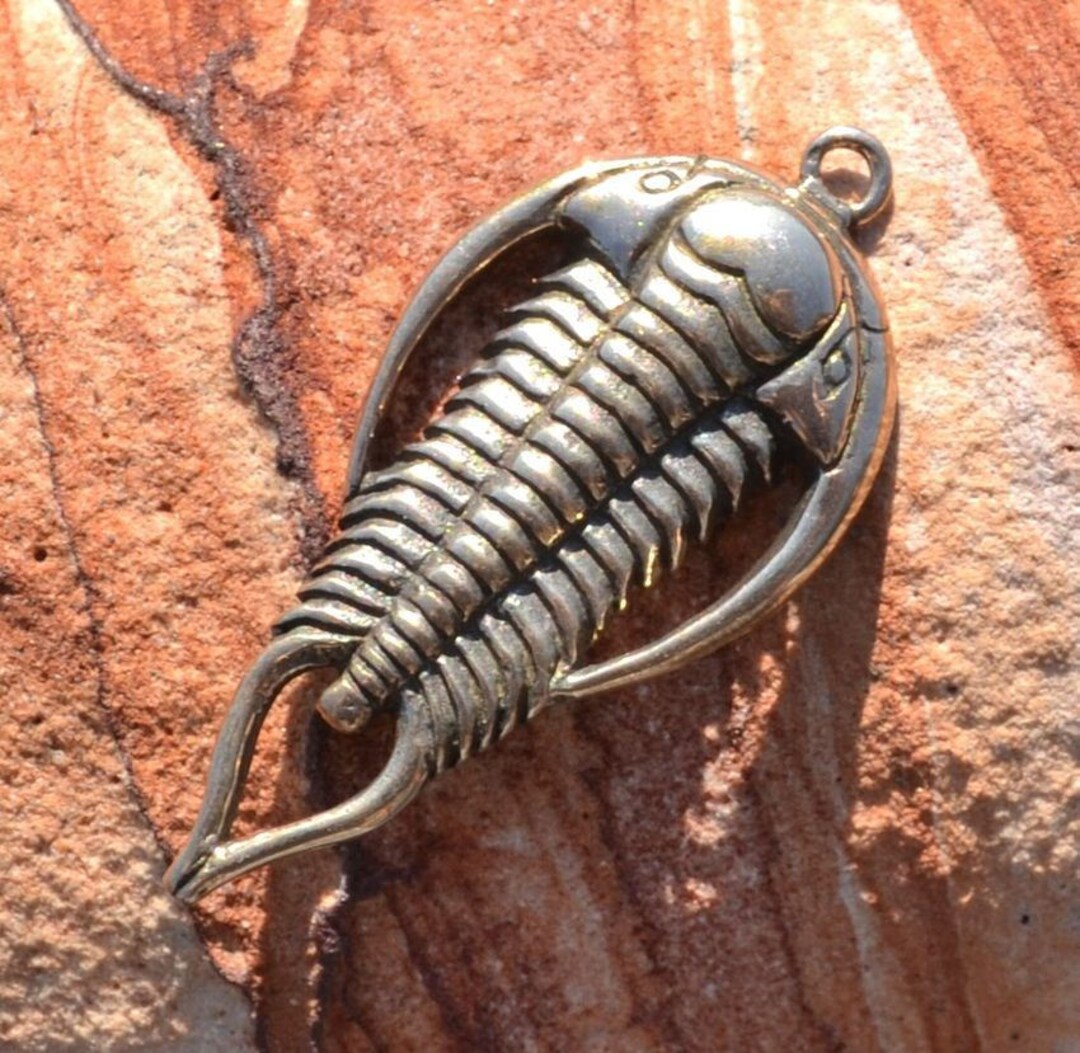 BRONZE TRILOBITE PENDANT Trilobit Necklace Amulet Jewel Fossil ...