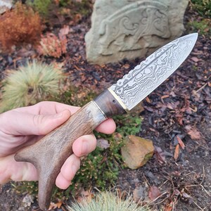 SGIAN DUBH Celtic Scottish Knife Dirk Damascus Steel Damasteel Handle ...