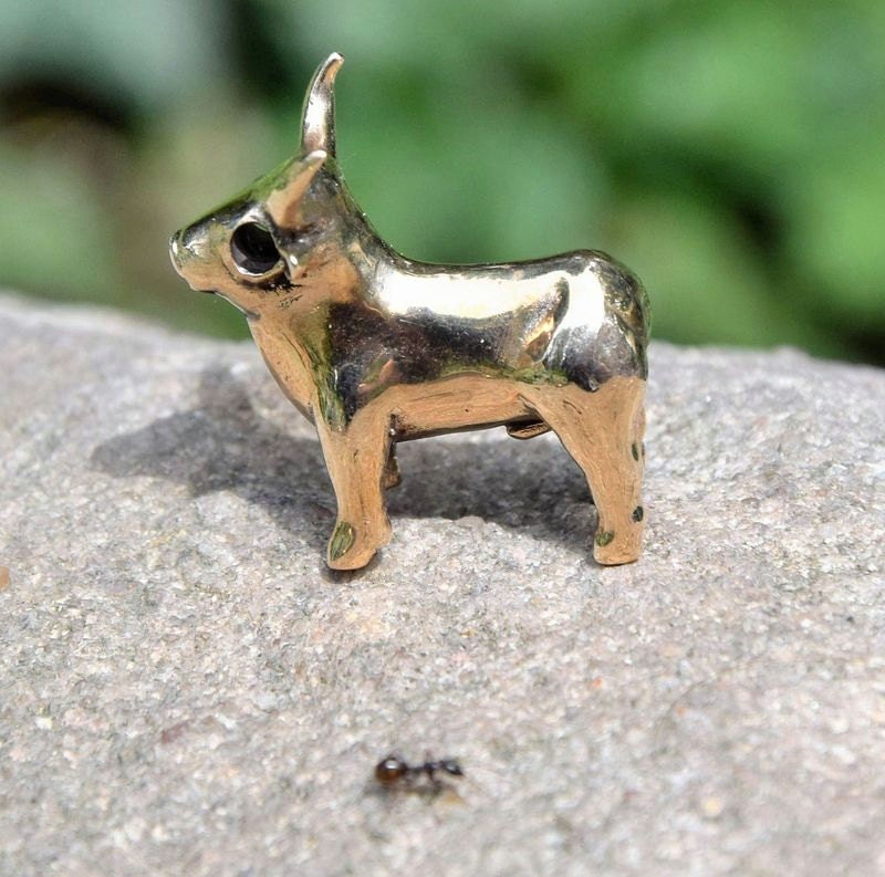 Celtic Bull From Moravia Cave Figure Bronze Age Archaeology | Etsy