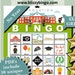 Blizzy Bingo COLORS AND SHAPES Printable Pdfs Contain Everything You ...