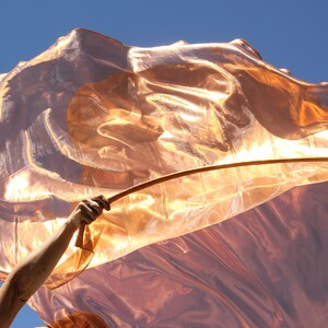 Orange Power 'battlecry' Copper Metallic Fire Worship Semi-sheer Flags ...