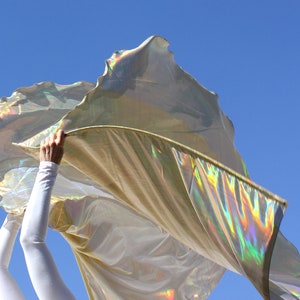 Gold 'throne Room' Aurora Borealis Rainbow Flowy Worship Banner Dance ...