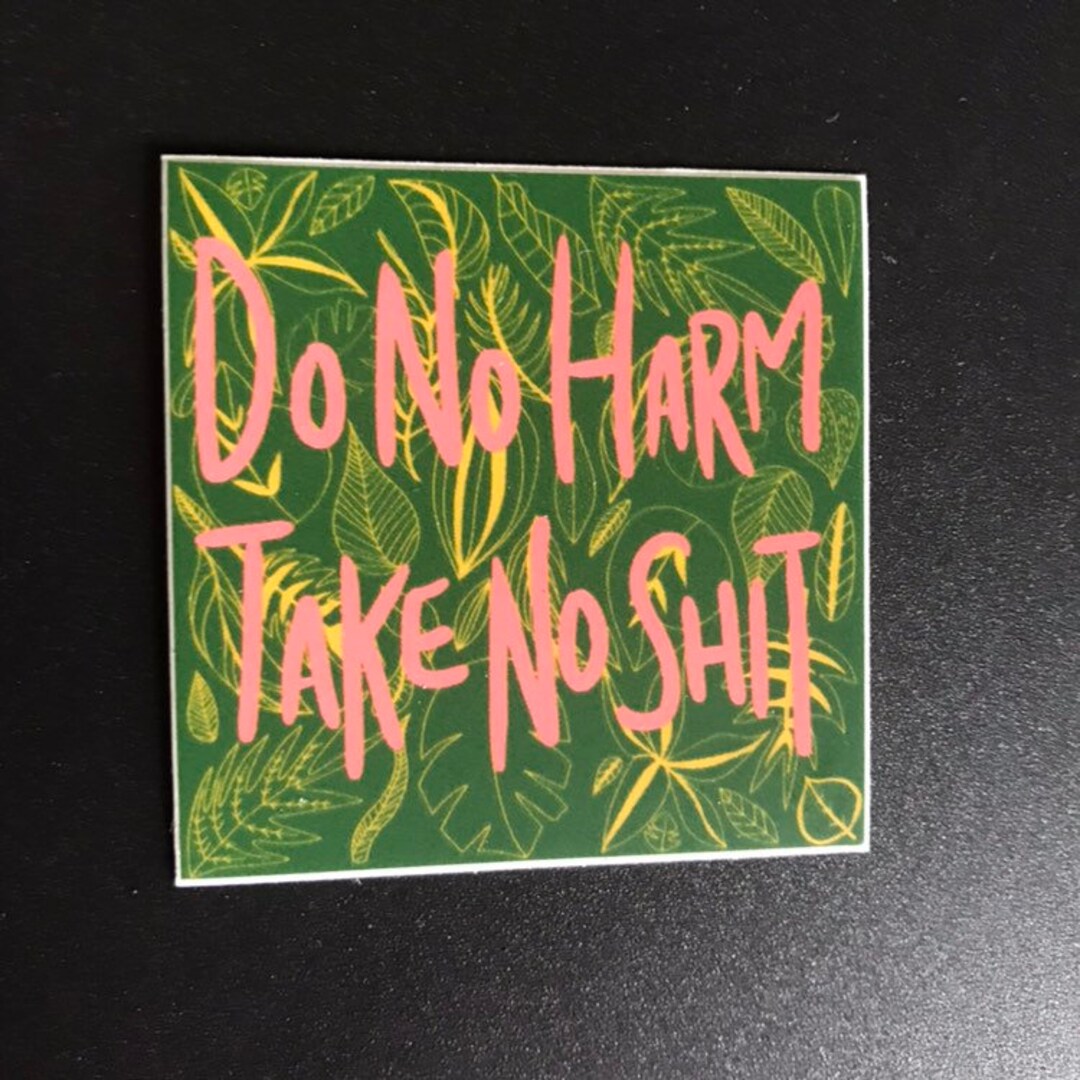 Do No Harm Take No Shit Sticker - Etsy