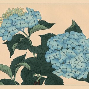 Hydrangea Art Print Japanese Botanical Prints Garden Wall Art Home ...