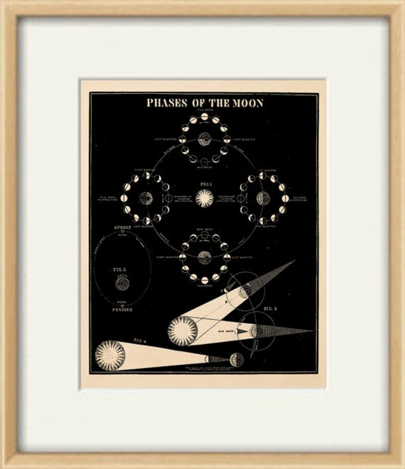 Phases of the Moon Phases Art Constellation Print Astronomy - Etsy