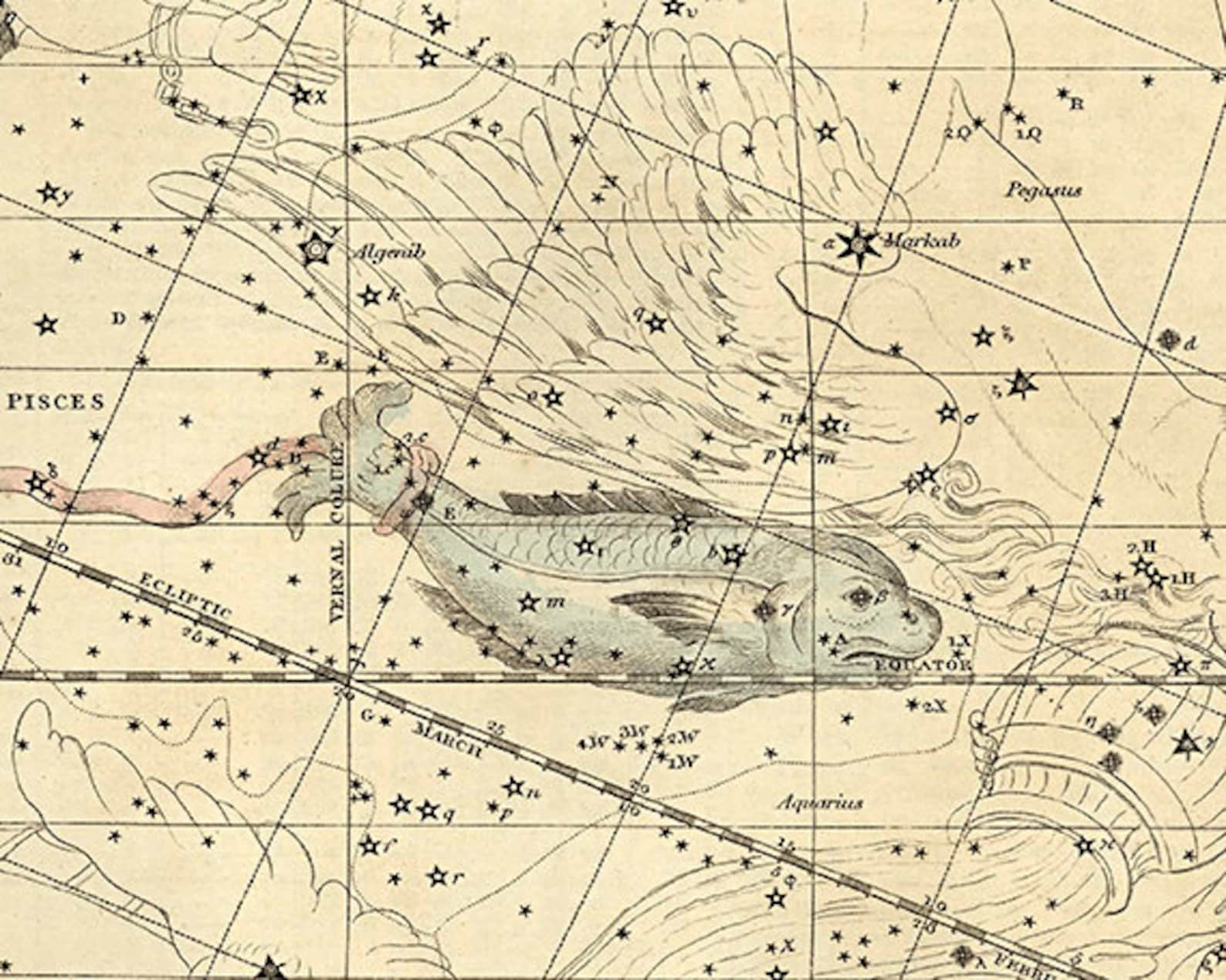 Pisces Zodiac Astrology Art Constellation Print Star Map Old - Etsy