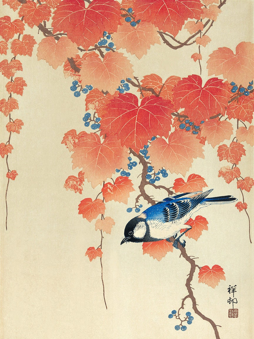 Japanese Bird Drawings Japanese Print "Bird On A Branch" By Rakusan