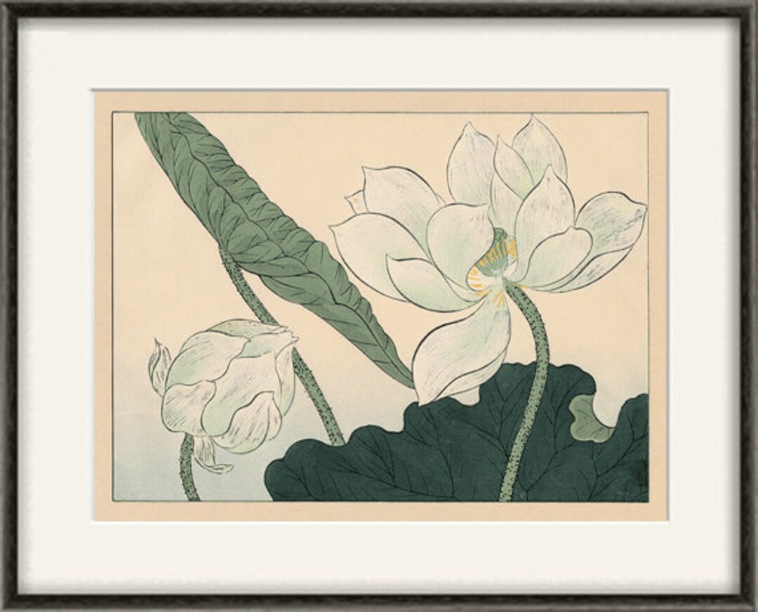 Lotus Art Print Japanese Botanical Prints Garden Wall Art Home Decor ...